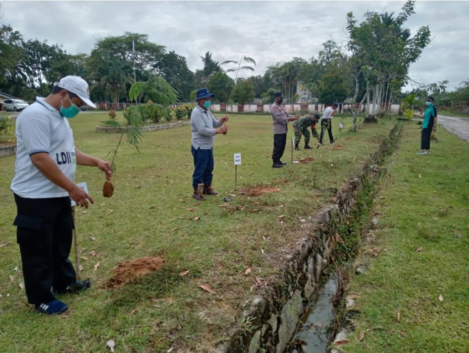 Program Go Green LDII Berlanjut dengan Menanam 1.000 Pohon di Pontianak ...